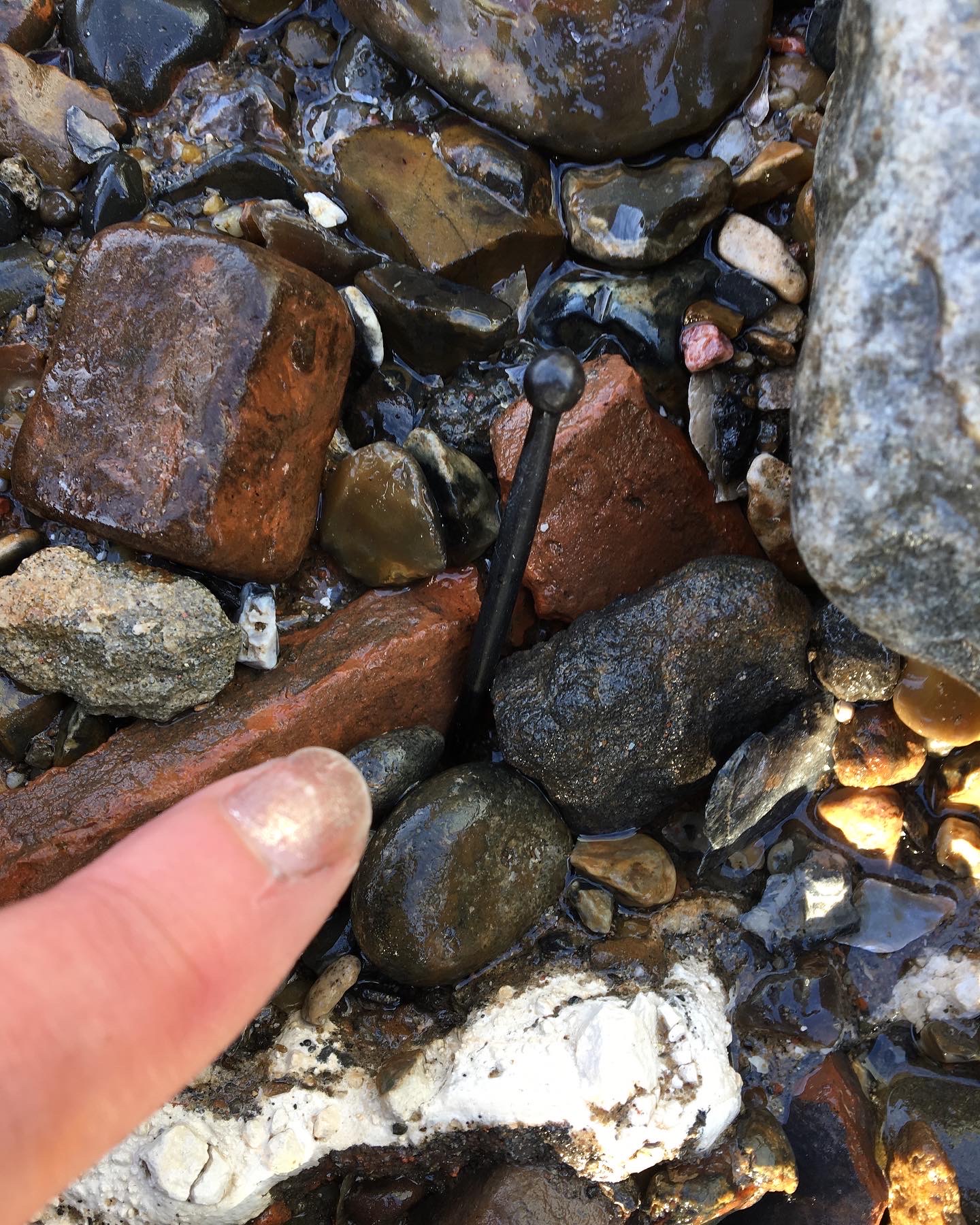 Roman Finds From The Foreshore – A Mudlark's Diary