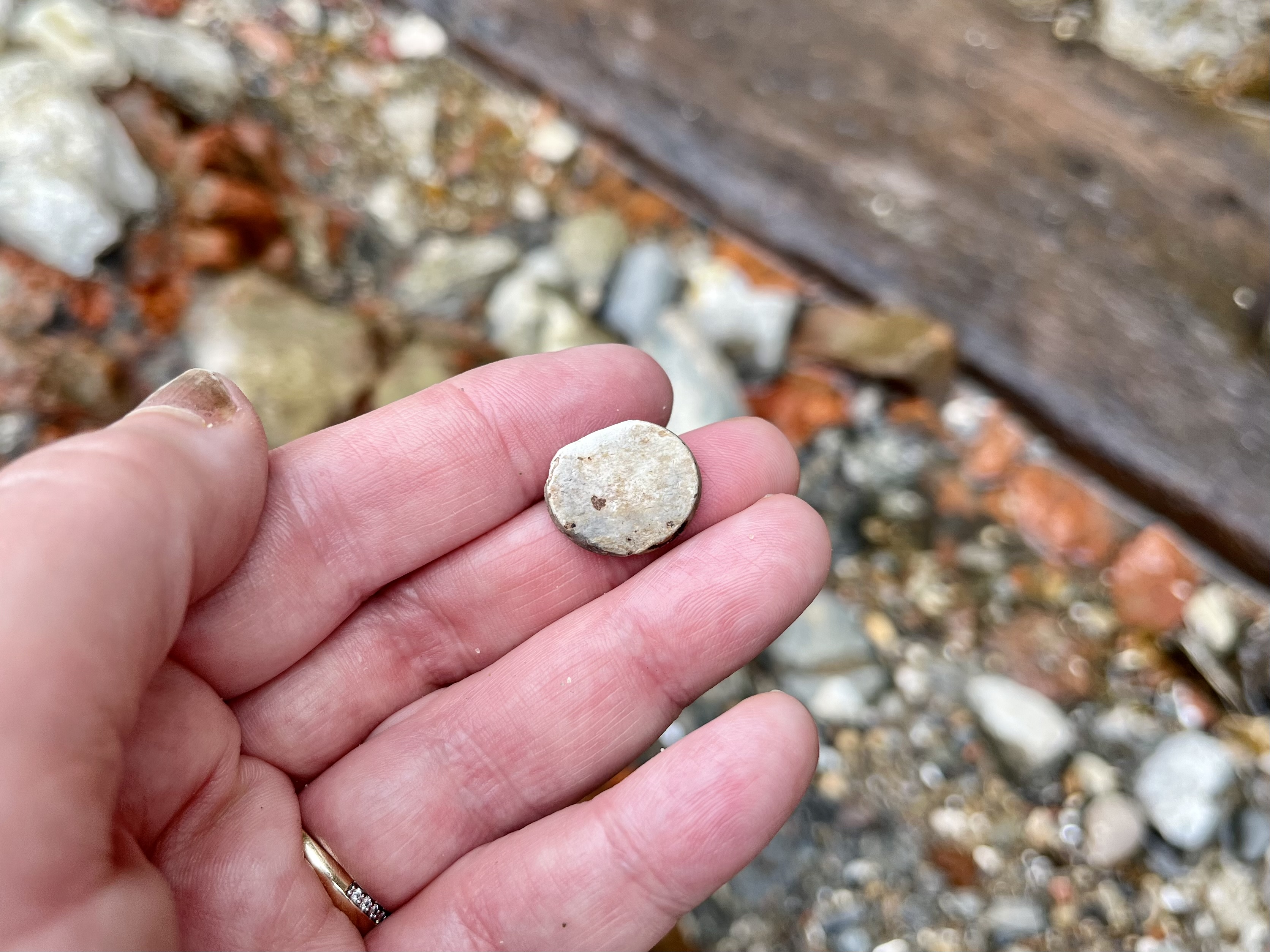 Blog – A Mudlark's Diary